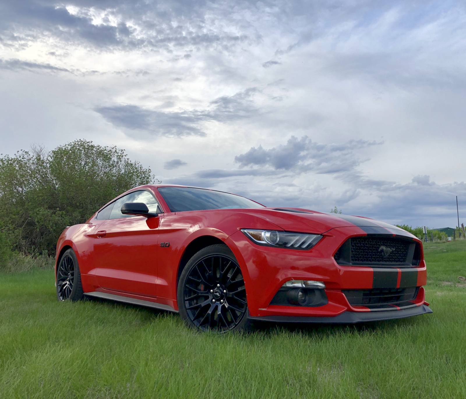 Ford Lease Takeover in Calgary, AB: 2017 Ford Mustang GT Premium Manual ...
