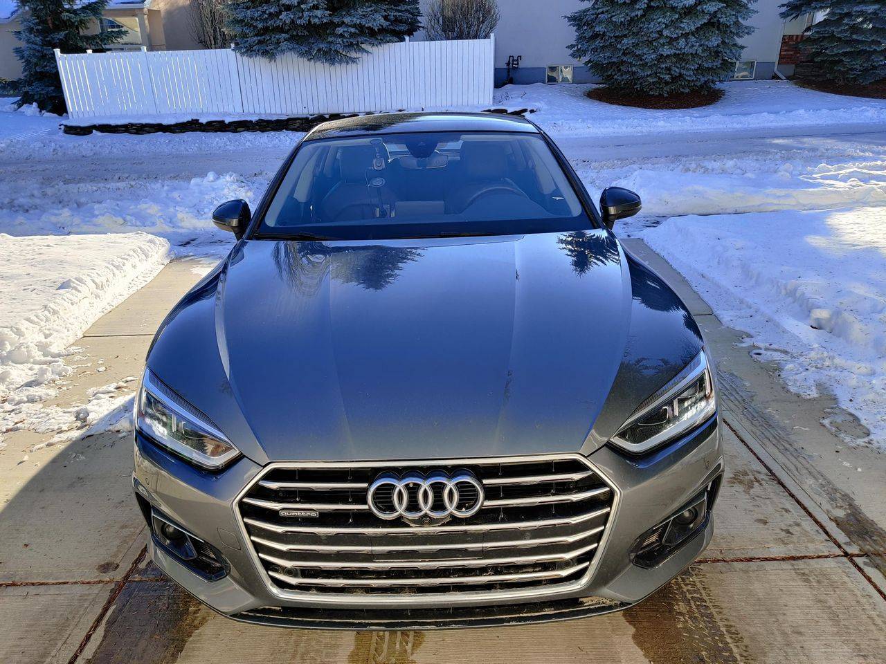 Audi Lease Takeover in Calgary, AB: 2019 Audi A5 Sportback Technik ...